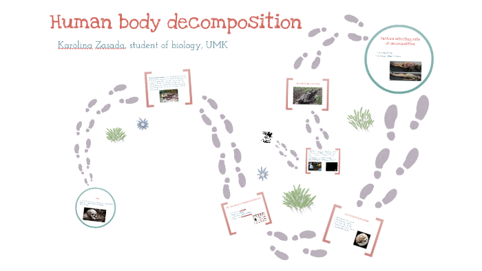 Human Body Decomposition by Karolina Zasada on Prezi
