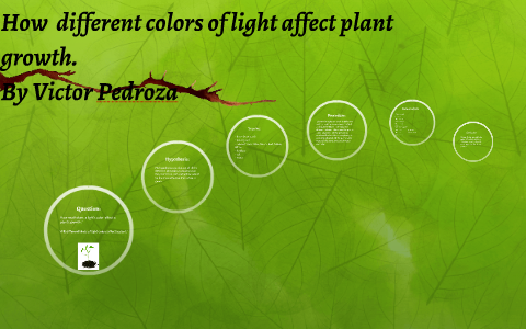 How different colors of light affect plant growth. by Victor Pedroza on ...