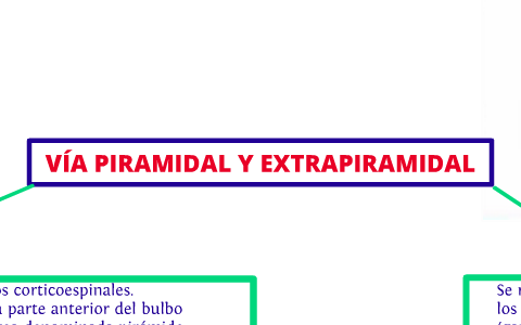 VÍA PIRAMIDAL Y EXTRAPIRAMIDAL by diana arevalo on Prezi