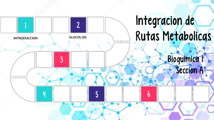 Integracion de Vias Metabolicas by karen mazariegos on Prezi