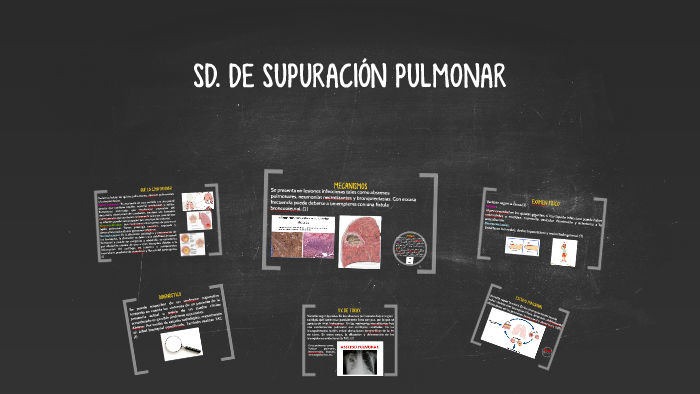 SD. DE SUPURACIÓN PULMONAR by celeste rodas on Prezi