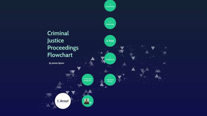 Criminal Justice Proceedings Flowchart by James Spicer on Prezi