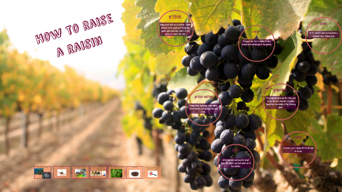 How to Raise a Raisin by Patricia Smith on Prezi
