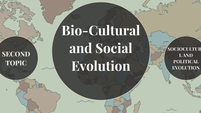 Looking Back at the Human Bio-Cultural and Social Evolution by Abrielle ...