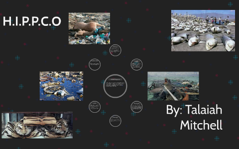 H.I.P.P.C.O by talaiah mitchell on Prezi