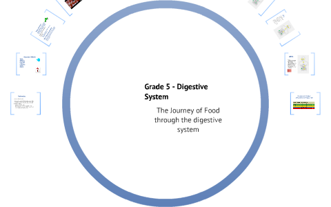 Grade 5-Digestive System by Hawa Osman on Prezi
