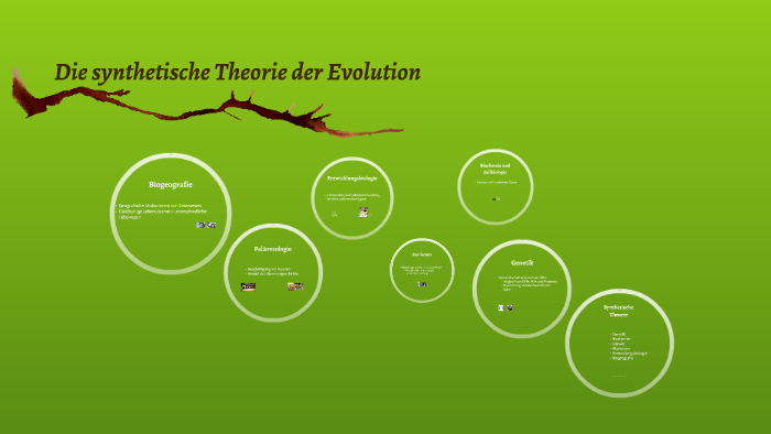 Die synthetische Theorie der Evolution by Ann-Katrin Feuer on Prezi