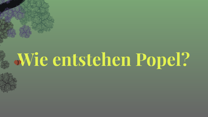 Wie entstehen Popel? by Miriam Müller on Prezi