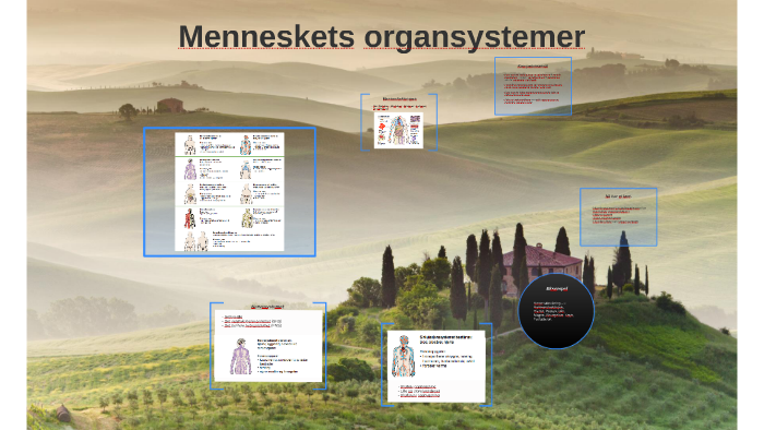 Menneskets organsystemer by Magnus Reiersen on Prezi