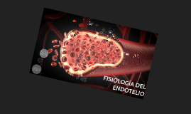FISIOLOGÍA DEL ENDOTELIO by Carolina Monge on Prezi