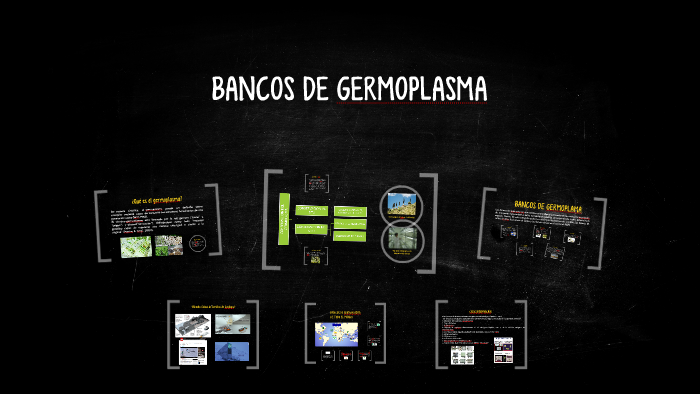 BANCOS DE GERMOPLASMA by Mirian Yanina on Prezi