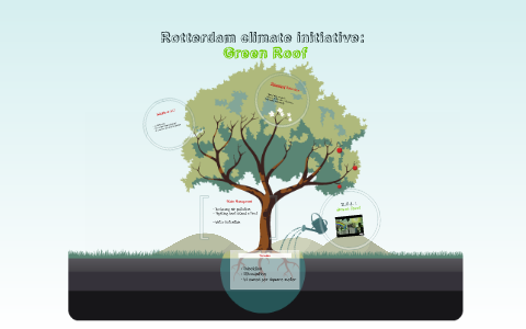 Rotterdam climate initiative: Green Roof by Louie Sienders on Prezi
