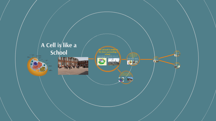 A Cell is like a School by Oscar Wright on Prezi
