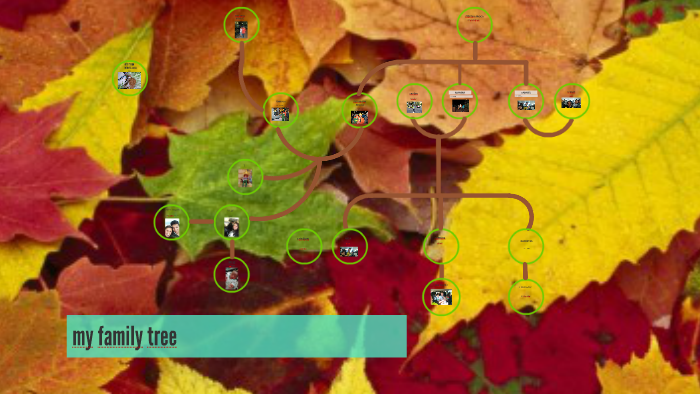 my family tree by Fernando Mendez on Prezi