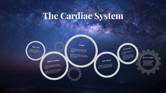 Unit 10 Assignment by Peyton Mosley on Prezi
