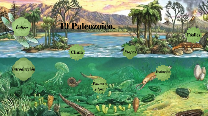 El Paleozoico by Alejandra Juan Salvatierra on Prezi