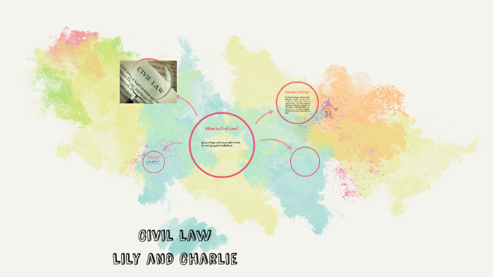 Civil Law by Lily Rucker