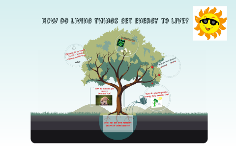 How do living things get energy to live? by Charlene Lee on Prezi