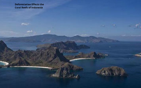 Deforestation Effects Coral Reefs of Indonesia by Jared French on Prezi