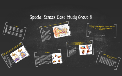 Special Senses Case Study Group 8 by Aleah Jack on Prezi
