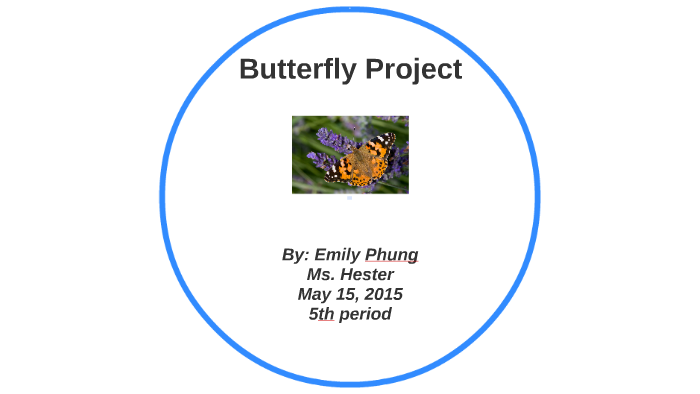 Butterfly Project by on Prezi