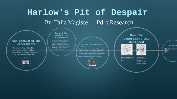 Harlow's Pit of Despair by Talia Magiste on Prezi