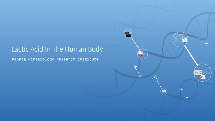 Lactic Acid In The Human Body by pat wong on Prezi
