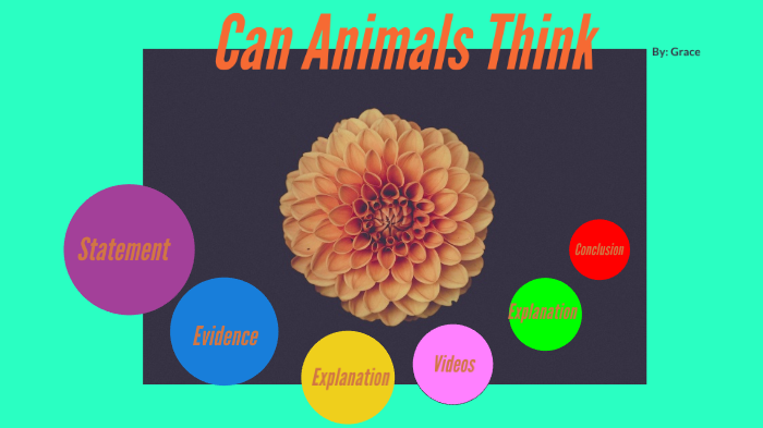 can animals think by Grace L on Prezi