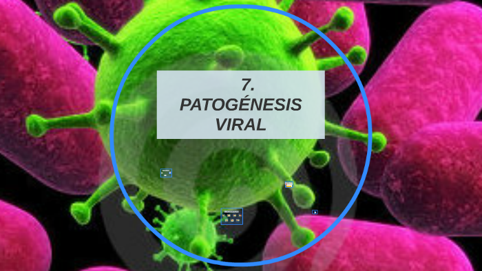 7. PATOGÉNESIS VIRAL by Lucero Fernandez Sanchez on Prezi