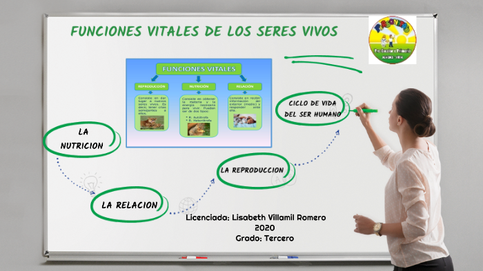 FUNCIONES VITALES DE LOS SERES VIVOS by angel esteban ramos villamil on ...