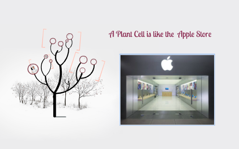 A Plant Cell is like the Apple Store by Hersh Doshi on Prezi