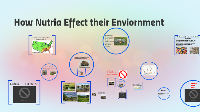 How Nutria Effect their Enviornment by Makayla Miller on Prezi