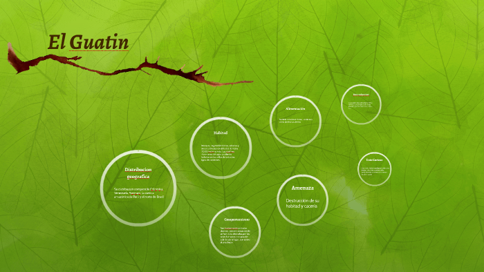 El Guatin by Ana Londoño on Prezi