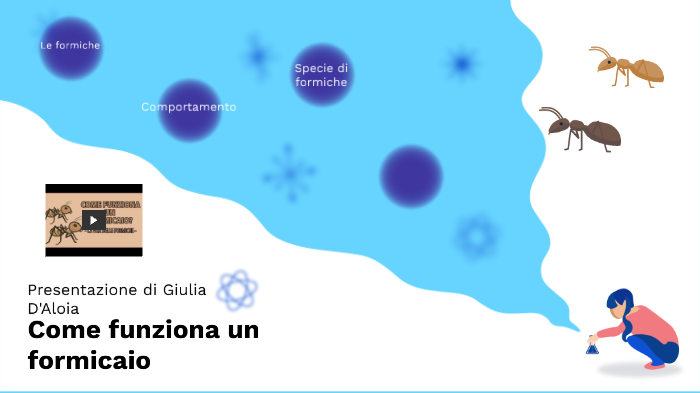 Come funziona un formicaio by Giulia D'Aloia on Prezi