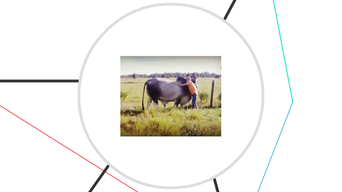 Bar Crescent KC Ranch by Katey Crawford on Prezi