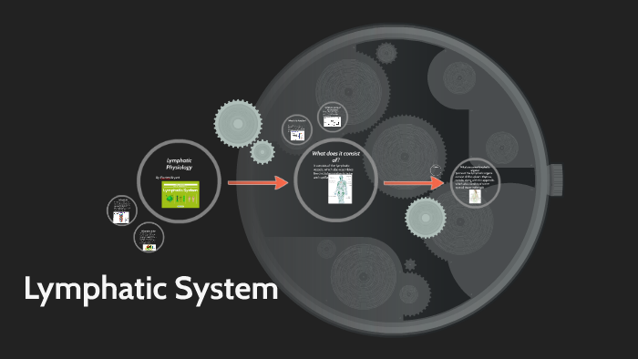 Lymphatic Physiology by Larry Sailele