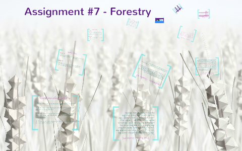 Forestry by Shayna Weir on Prezi