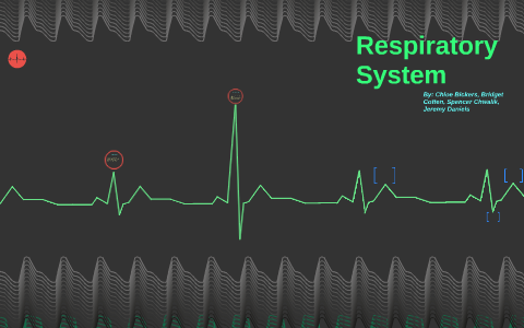 Respiratory System by Chloe Bickers on Prezi
