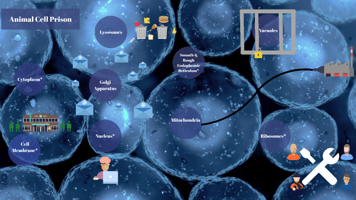 Animal Cell Prison by Cristopher Miranda on Prezi