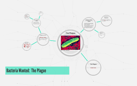Bacteria Wanted Poster by Chase Thompson on Prezi
