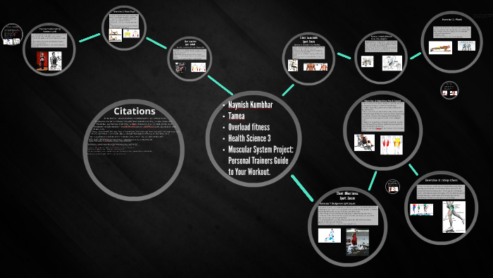 Muscular System Project : Personal Trainers Guide to Your Wo by nayn k ...