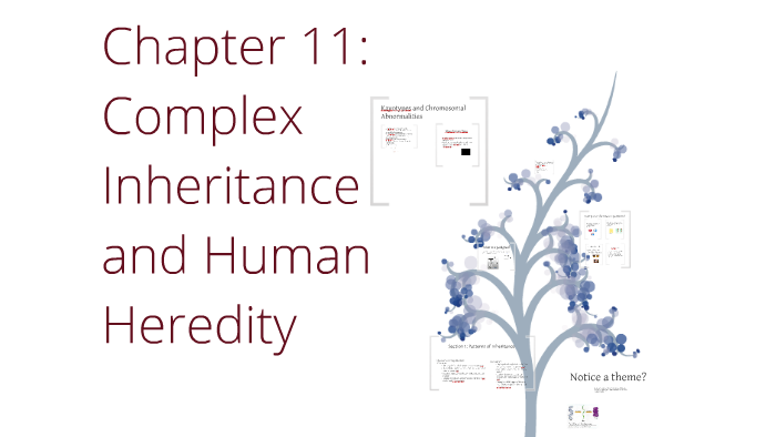 Chapter 11: Complex Inheritance and Human Heredity by Kyle Emenhiser on Prezi