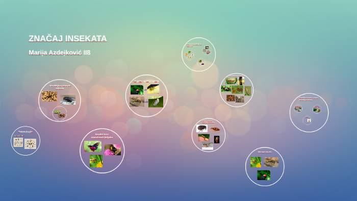 ZNAČAJ INSEKATA by Marija Azdejković on Prezi