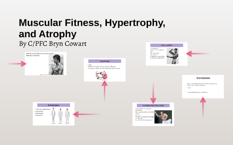 Muscular Fitness, Hypertrophy, and Atrophy by on Prezi