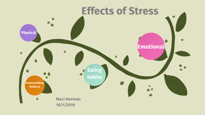 Effects of Stress by Maci Herman on Prezi