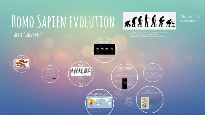 Homo Sapien evolution by Alice x