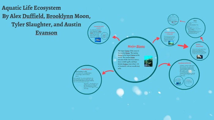 Aquatic Life Ecosystem by Alex Duffield on Prezi