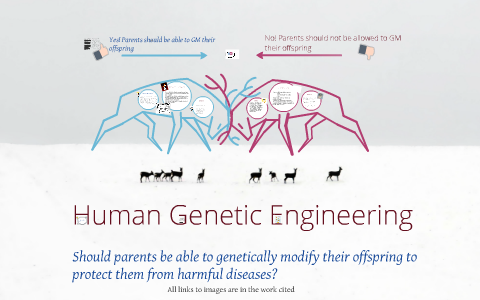 Human Genetic Engineering Ethics by Adil Abbuthalha on Prezi