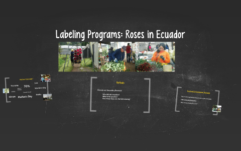 Labeling Programs: Roses in Ecuador by sarah puffer on Prezi