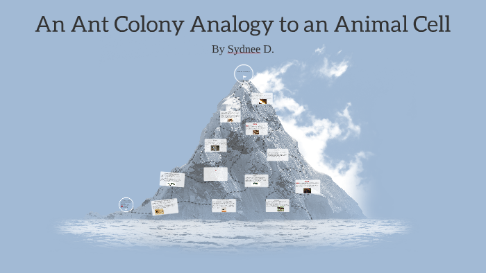 An Ant Colony Analogy to an Animal Cell by Sydnee D on Prezi